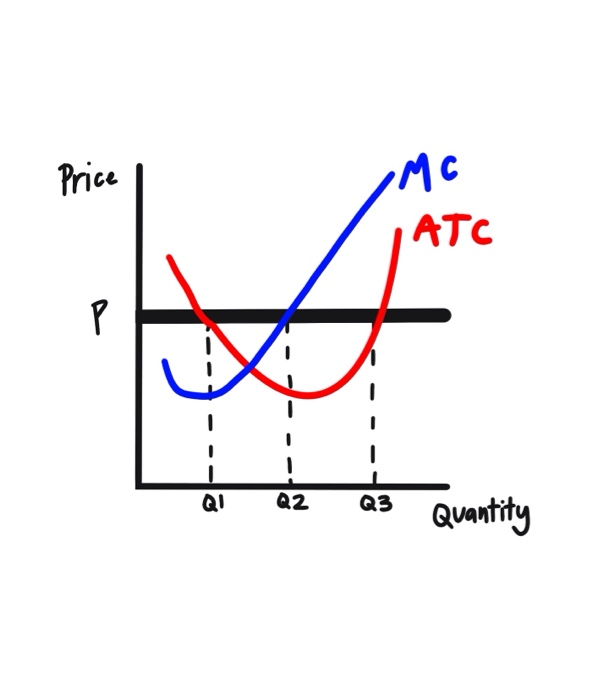Solved Look at the graph. At what quantity will this firm | Chegg.com