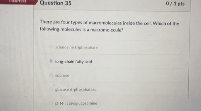 Solved There are four types of macromolecules inside the | Chegg.com