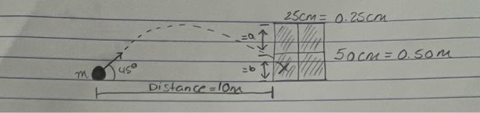 Area=LXW Area=0.50m X 0.25m= 0.125m^2 . Choose the | Chegg.com