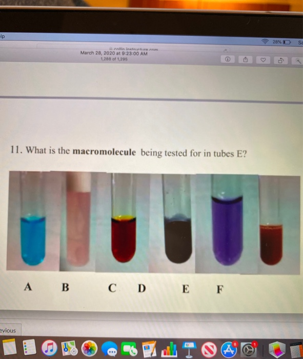 Solved Which Macromolecule is being tested in each test | Chegg.com