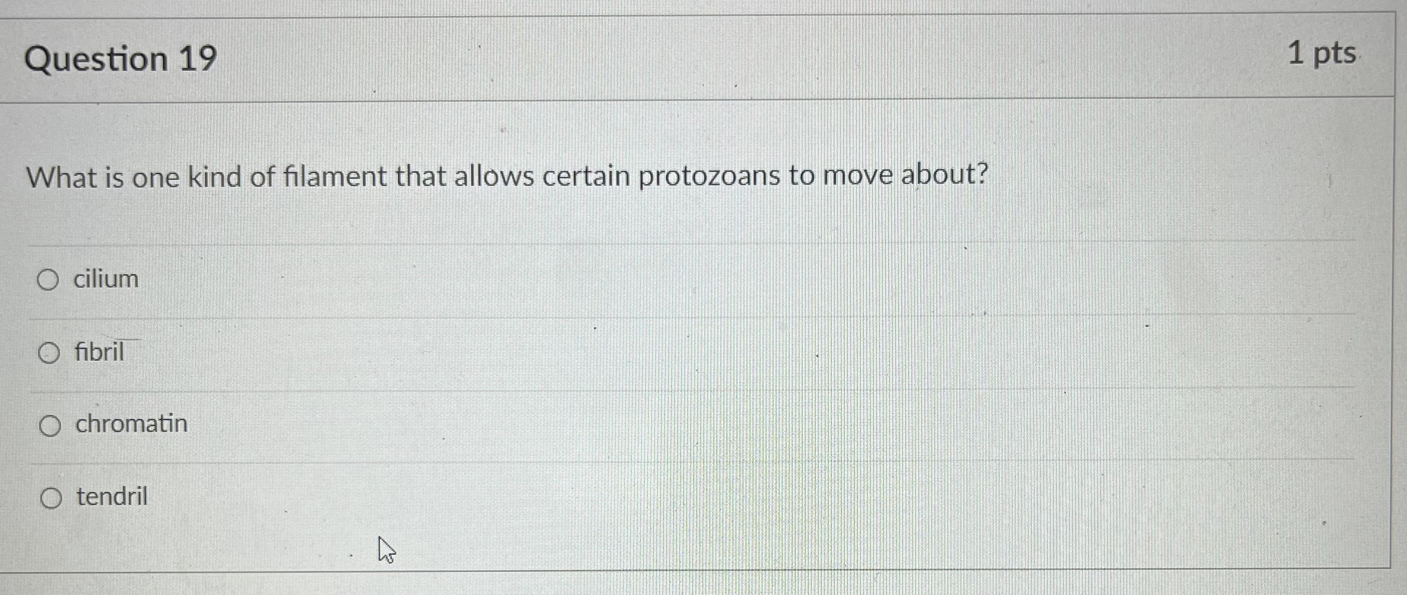 Solved Question 19What is one kind of filament that allows | Chegg.com