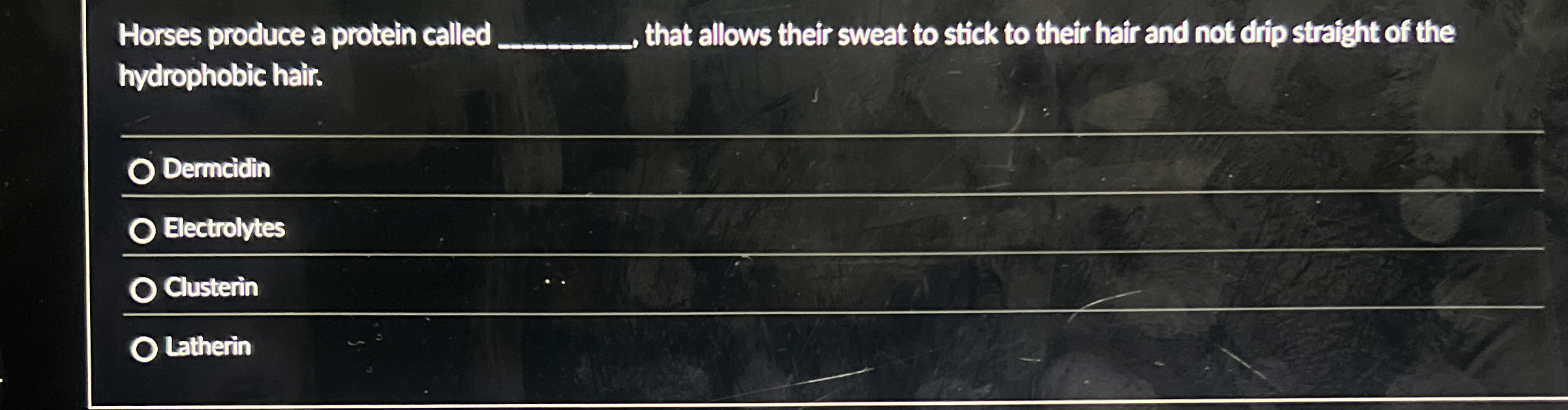 Solved Horses produce a protein called q, , ﻿that allows | Chegg.com