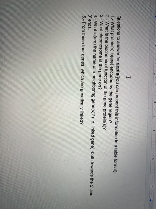 Solved 4 5 6 I Questions to answer for sepia(you can present | Chegg.com