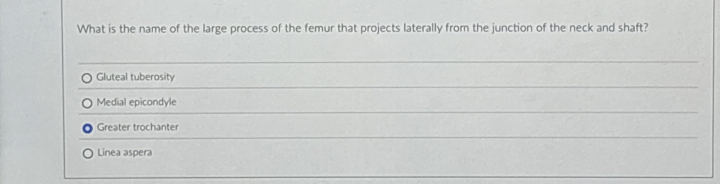 Solved What is the name of the large process of the femur | Chegg.com
