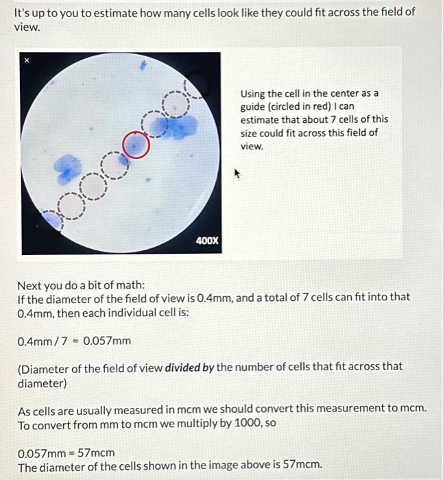Solved Measuring Cells Although some microscope lenses have | Chegg.com