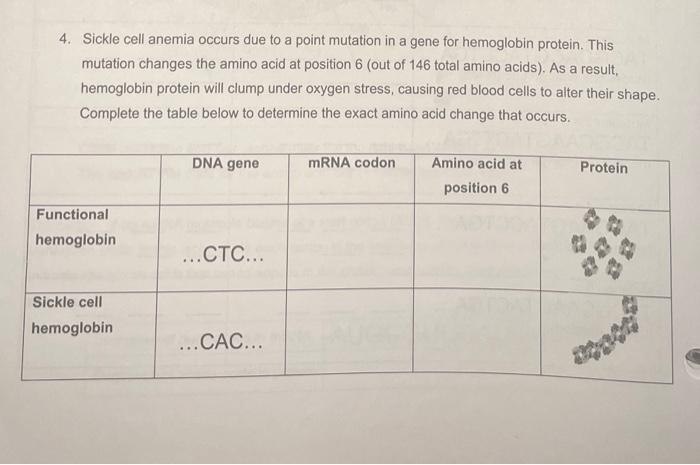 Solved 4. Sickle cell anemia occurs due to a point mutation | Chegg.com