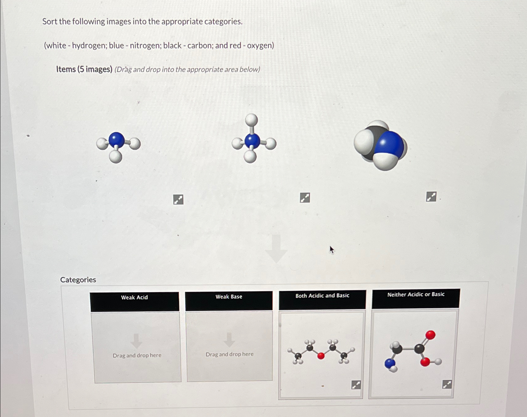 Solved Sort the following images into the appropriate | Chegg.com