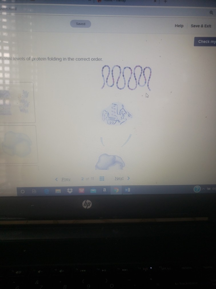 Solved Saved Help Save & Ex Check m onal levels of protein | Chegg.com