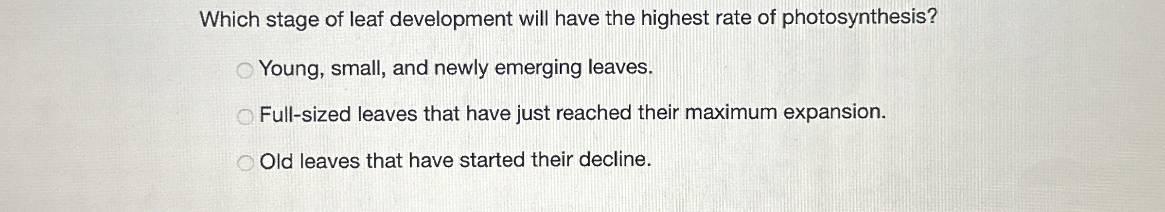 Solved Which stage of leaf development will have the highest | Chegg.com