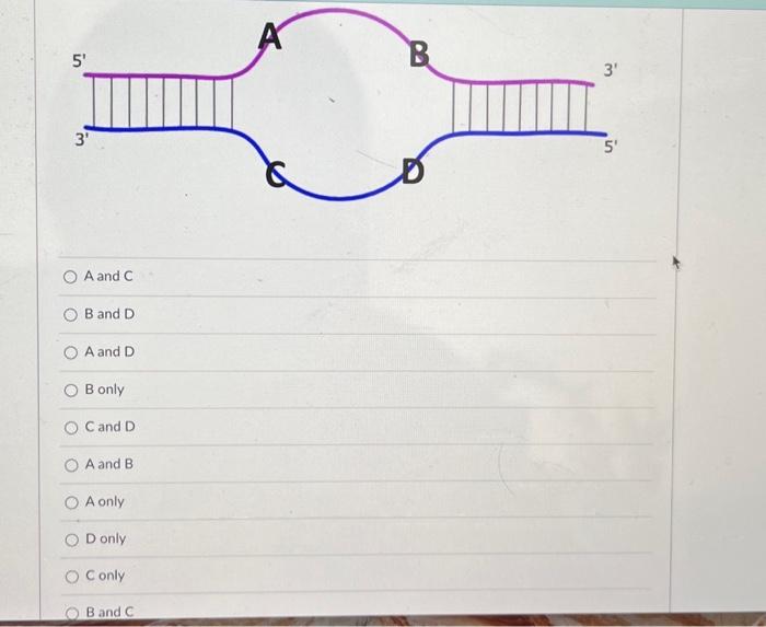 A and C B and D A and D B only C and D A and B A only | Chegg.com