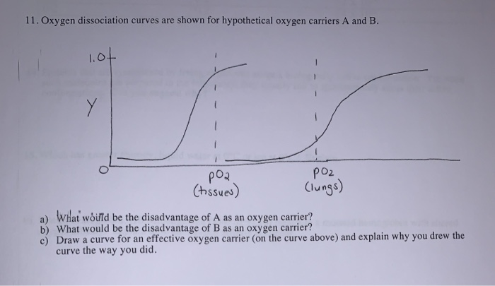 11. Oxygen dissociation curves are shown for | Chegg.com