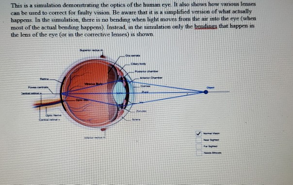 Solved This is a simulation demonstrating the optics of the | Chegg.com