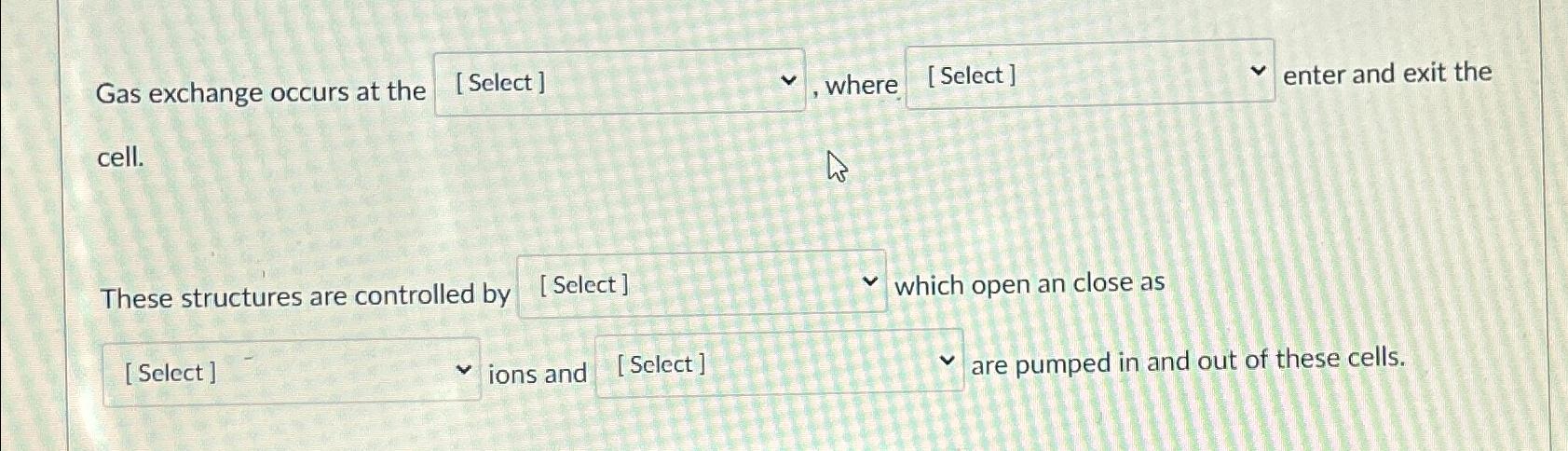 Solved Gas exchange occurs at the , ﻿where enter and exit | Chegg.com