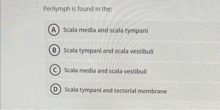Solved Perilymph is found in the: Scala media and scala | Chegg.com