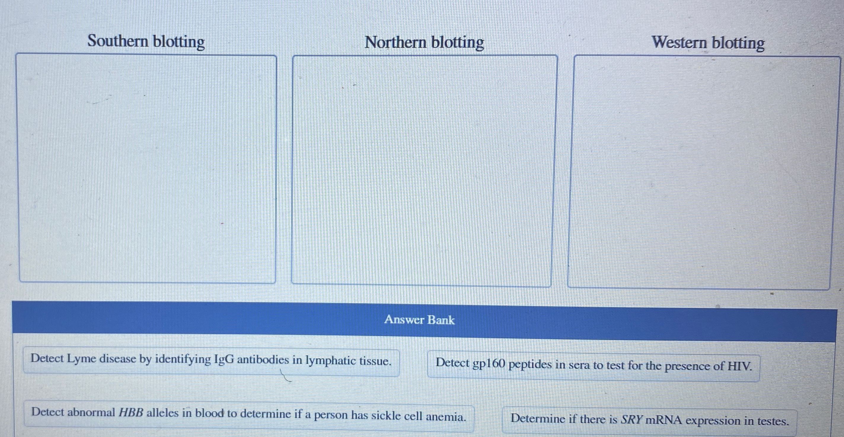 Solved Southern blottingNorthern blottingWestern | Chegg.com