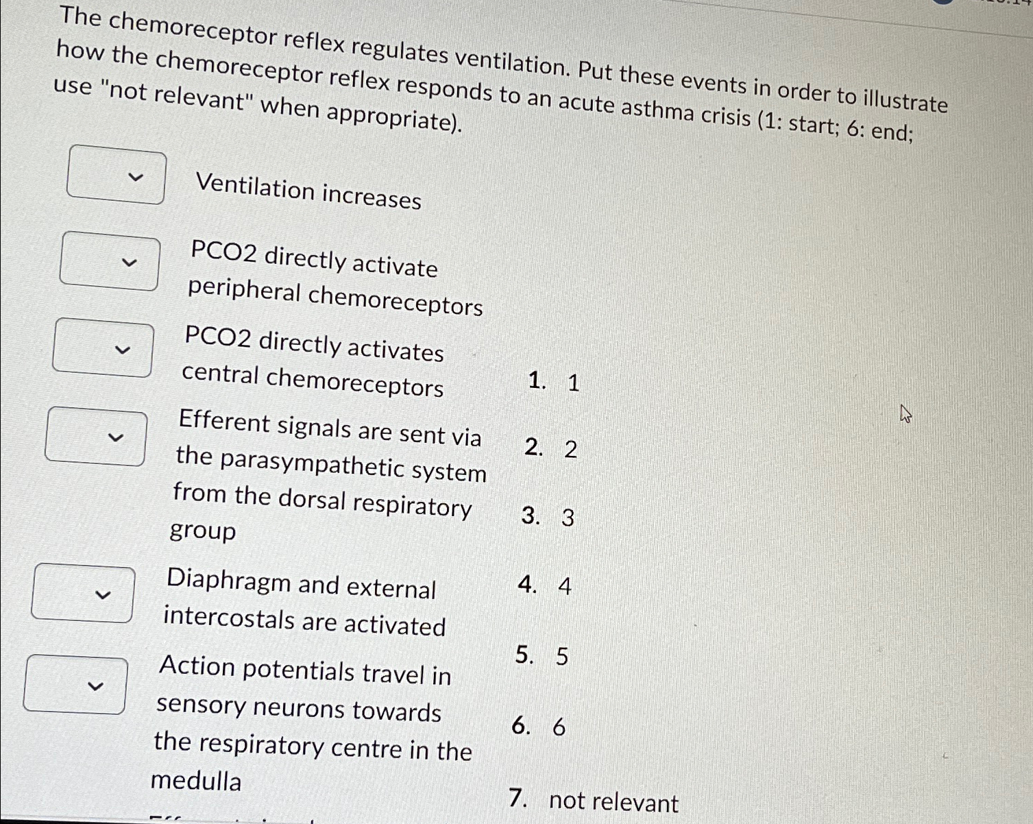 The chemoreceptor reflex regulates ventilation. Put | Chegg.com