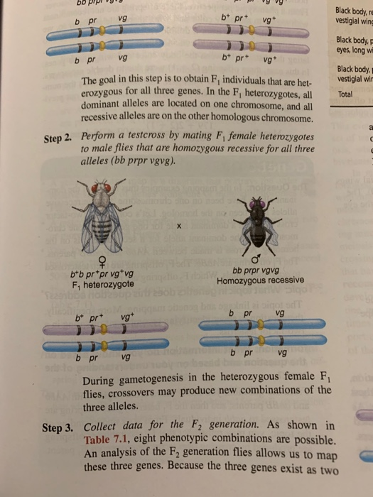 work through the Three-Factor Crosses Can Be Used to | Chegg.com