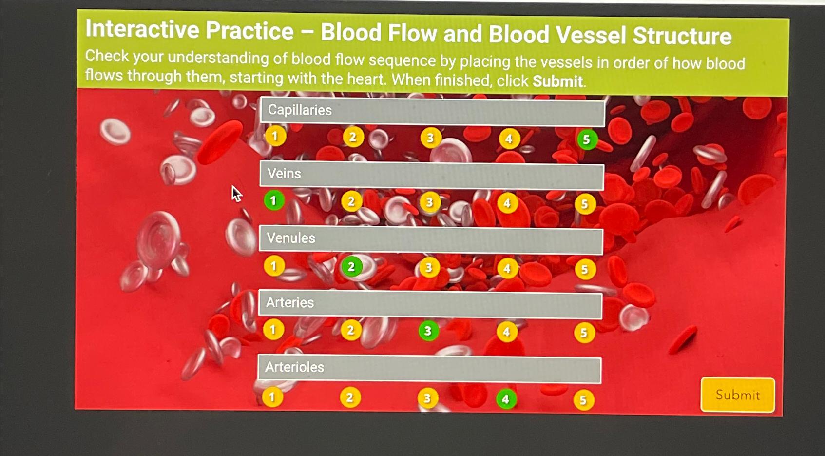 Solved Interactive Practice - ﻿Blood Flow and Blood Vessel | Chegg.com