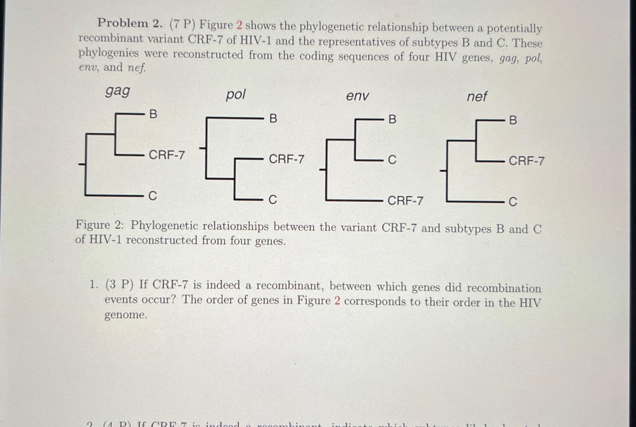 Solved Problem 2. (7 ﻿P) ﻿Figure 2 ﻿shows the phylogenetic | Chegg.com