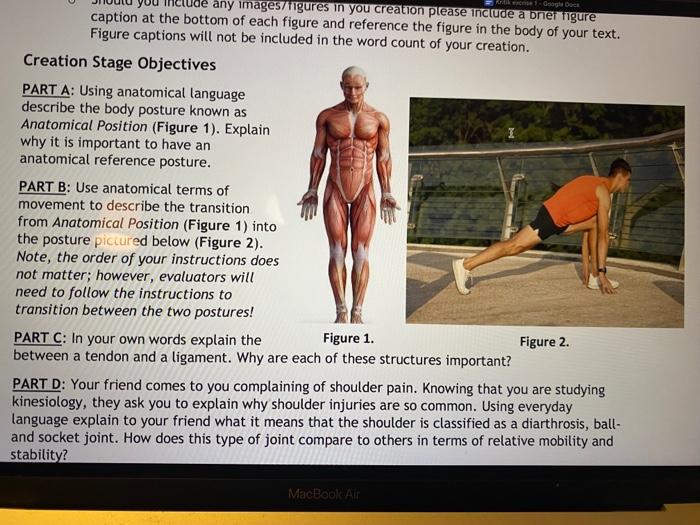 Solved caption at the bottom of each figures in you creation | Chegg.com