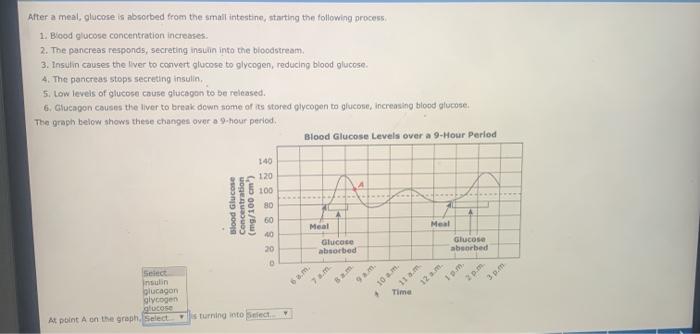 Solved After a meal, glucose is absorbed from the small | Chegg.com