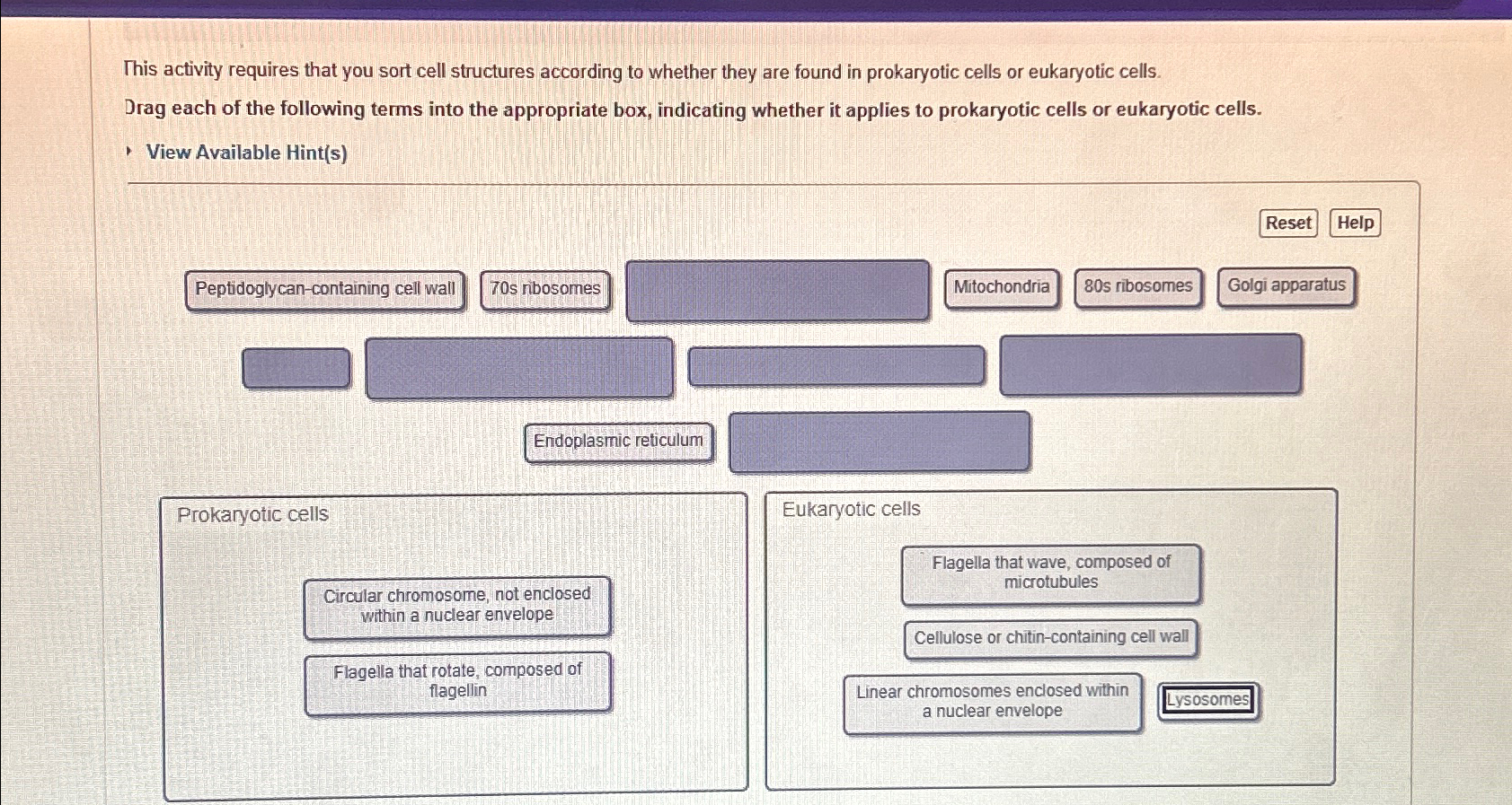 Solved This activity requires that you sort cell structures | Chegg.com