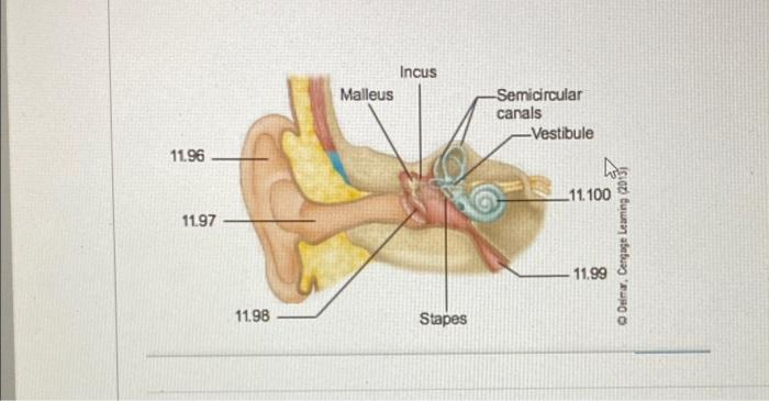 Solved Identify the parts of numbered items on the | Chegg.com