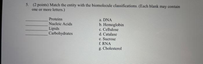 Solved 5. ( 2 points) Match the entity with the biomolecule | Chegg.com