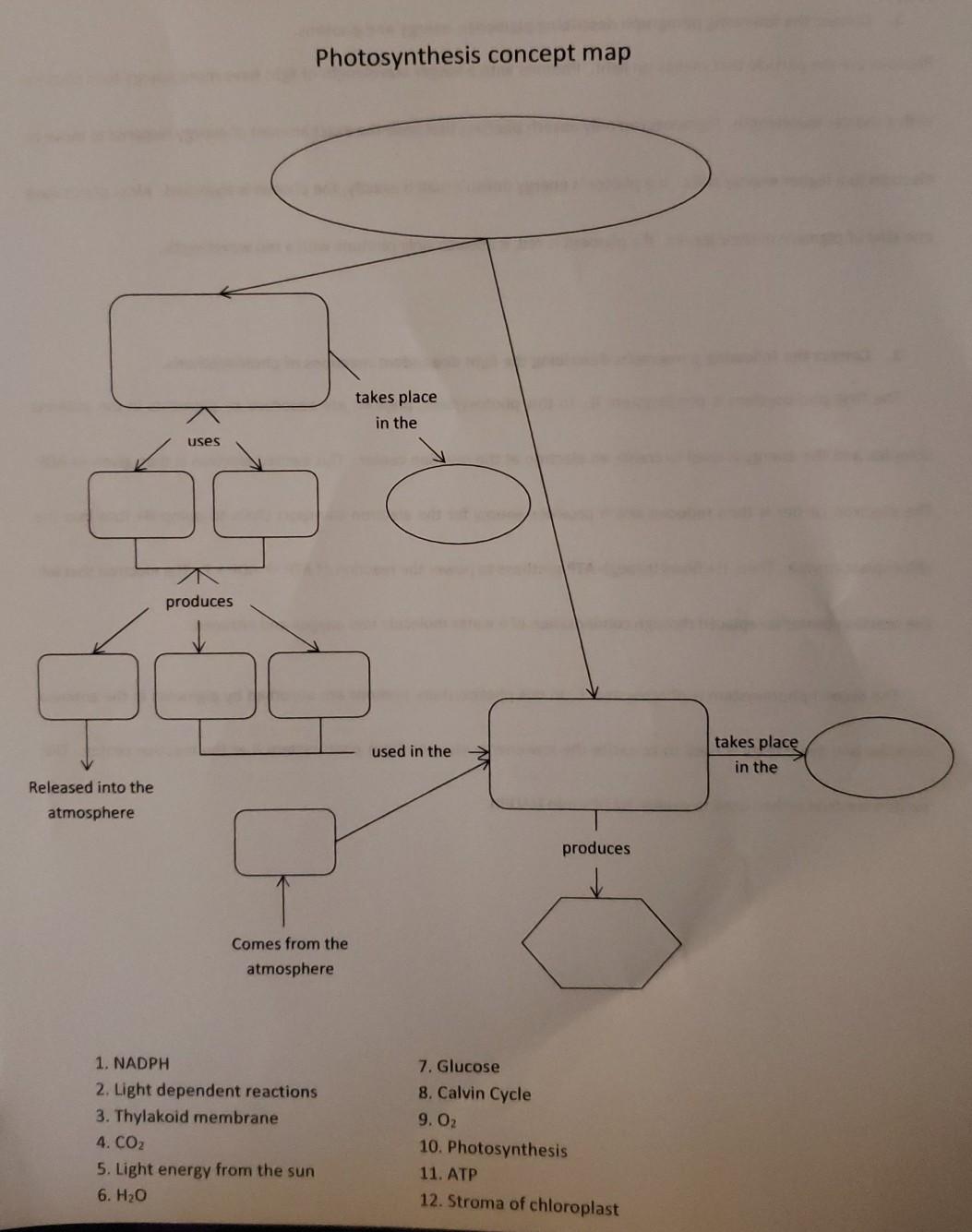 Solved Photosynthesis concept map takes place in the uses | Chegg.com