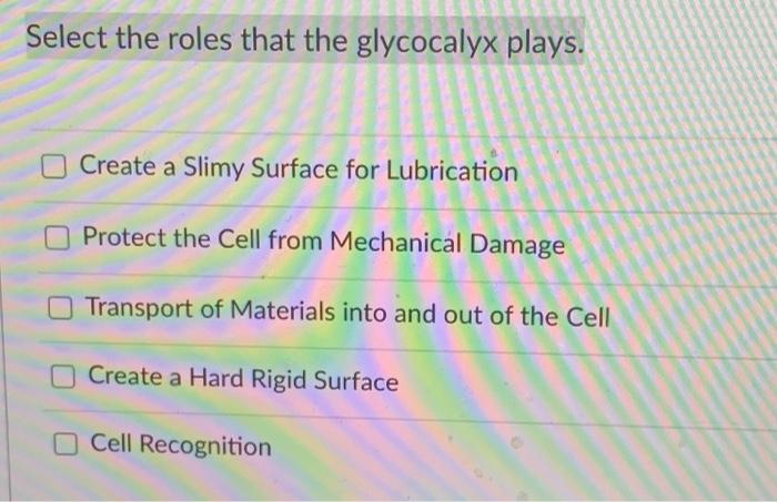 Solved Select the roles that the glycocalyx plays. Create a | Chegg.com