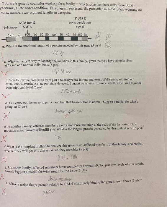 Solved Lab Session (circte): Fisher Pt haw a stero-loop | Chegg.com
