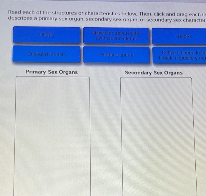 Solved Read Each Of The Structures Or Characteristics Below