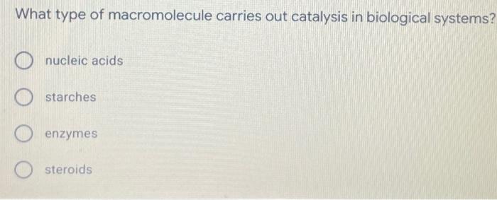 Solved What type of macromolecule carries out catalysis in | Chegg.com