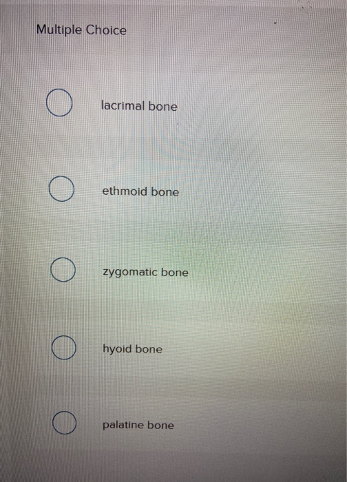 Solved Which structure is highlighted? Multiple Choice O | Chegg.com