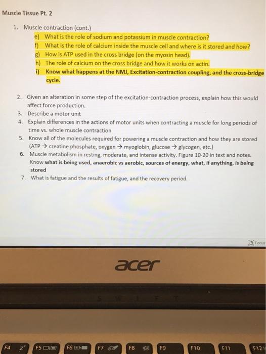 Solved Muscle Tissue Pt. 2 1. Muscle contraction (cont.) e) | Chegg.com
