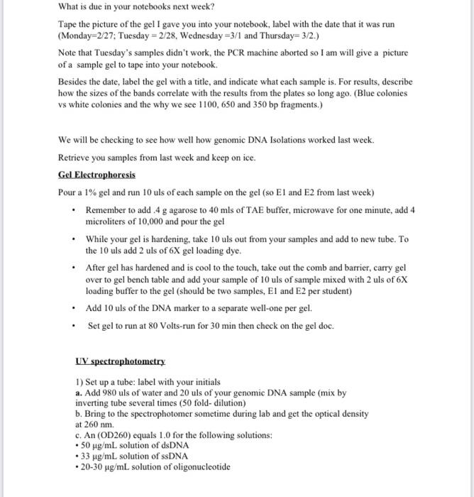 what is the basic procedure using DNA assay? and why | Chegg.com