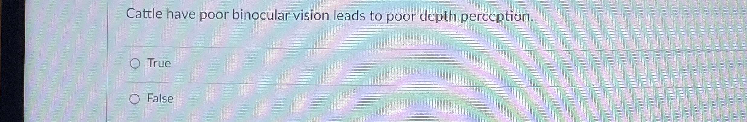 Solved Cattle have poor binocular vision leads to poor depth | Chegg.com