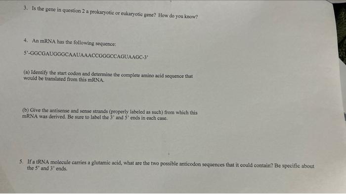 Solved 1. Use the attached codon dictionary to complete the | Chegg.com