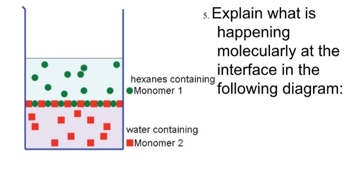 Solved s. Explain what is happening molecularly at the | Chegg.com