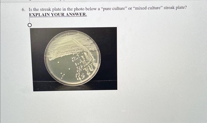 Solved 6. Is the streak plate in the photo below a "pure | Chegg.com