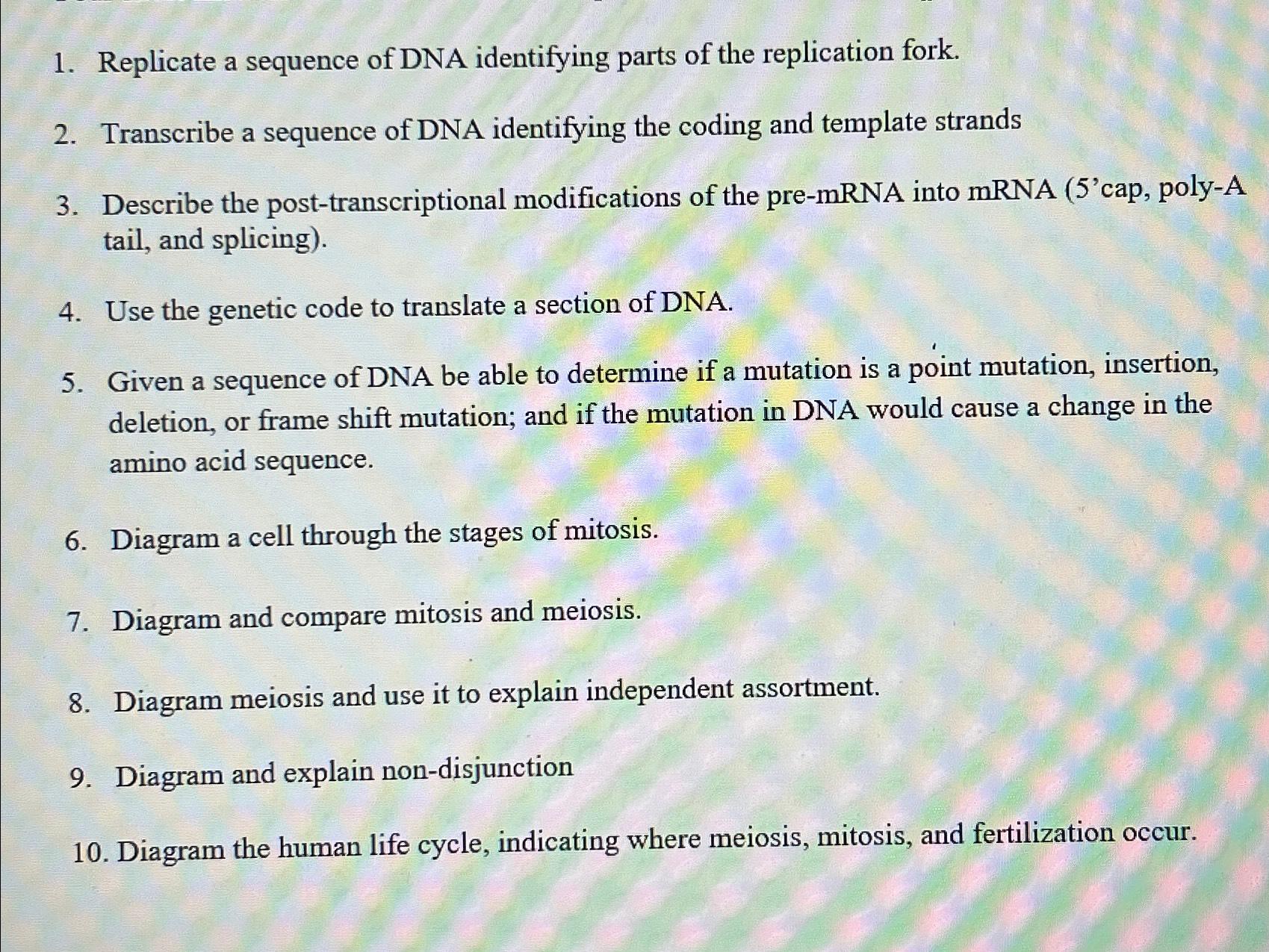 Solved Replicate a sequence of DNA identifying parts of the | Chegg.com