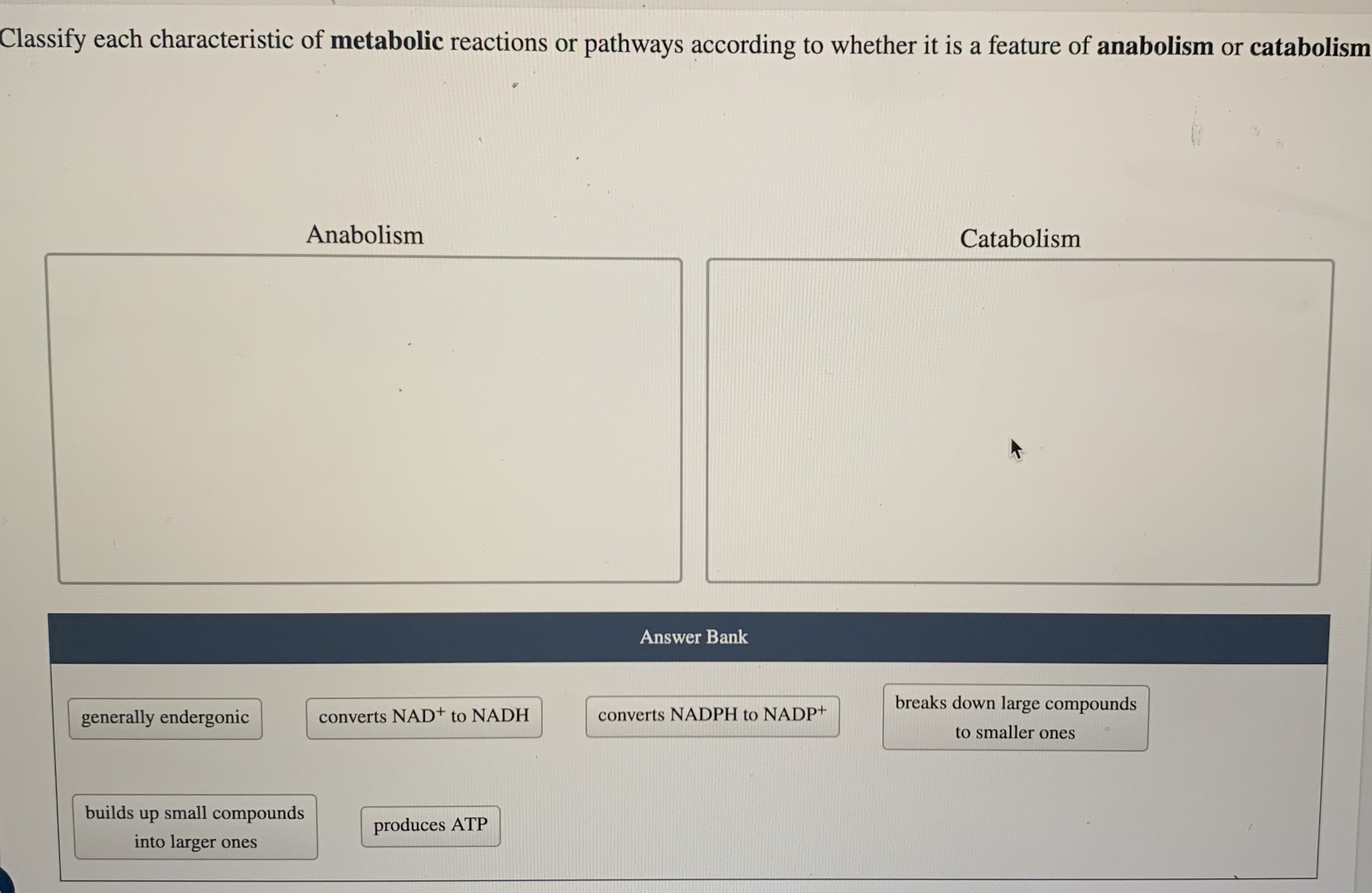 Solved Classify each characteristic as anabolism or | Chegg.com Solved Classify each characteristic as anabolism or | Chegg.com