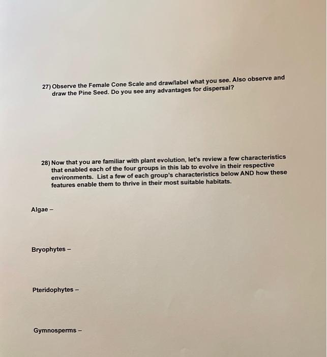 Solved 27) Observe the Female Cone Scale and draw/label what | Chegg.com