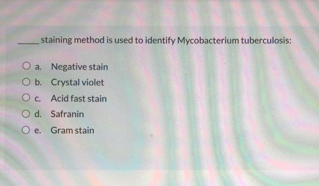 Mycobacterium Tuberculosis Gram Stain
