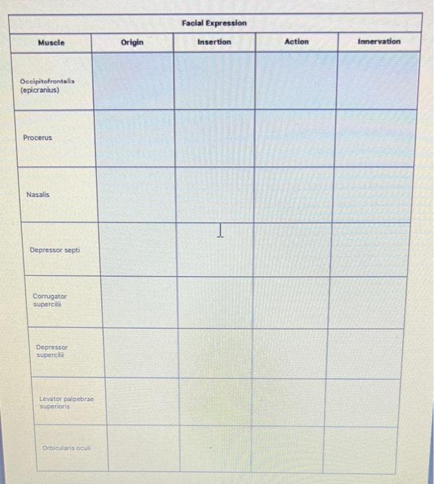 Faclal Expression Facial Expression (continued) | Chegg.com