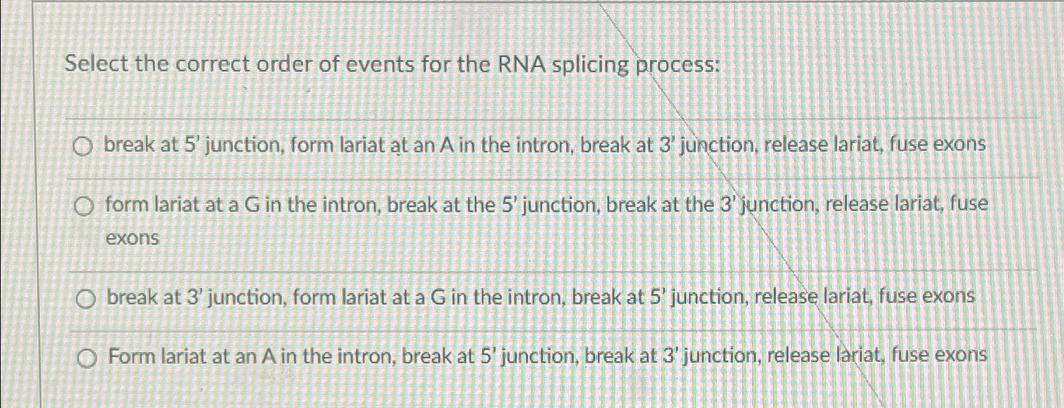 Solved Select the correct order of events for the RNA | Chegg.com
