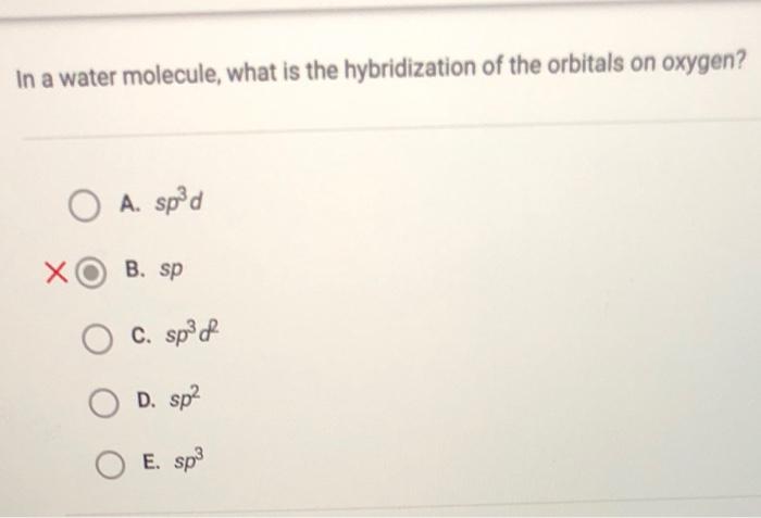 Solved In a water molecule, what is the hybridization of the | Chegg.com