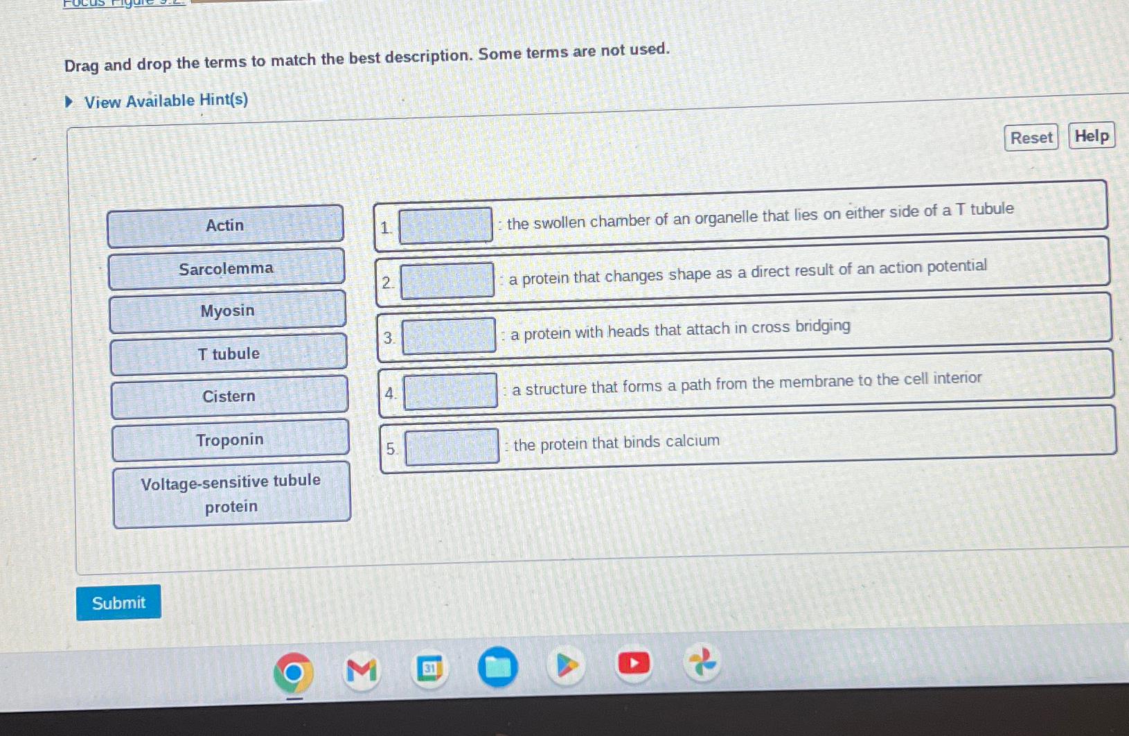 Solved Drag and drop the terms to match the best | Chegg.com