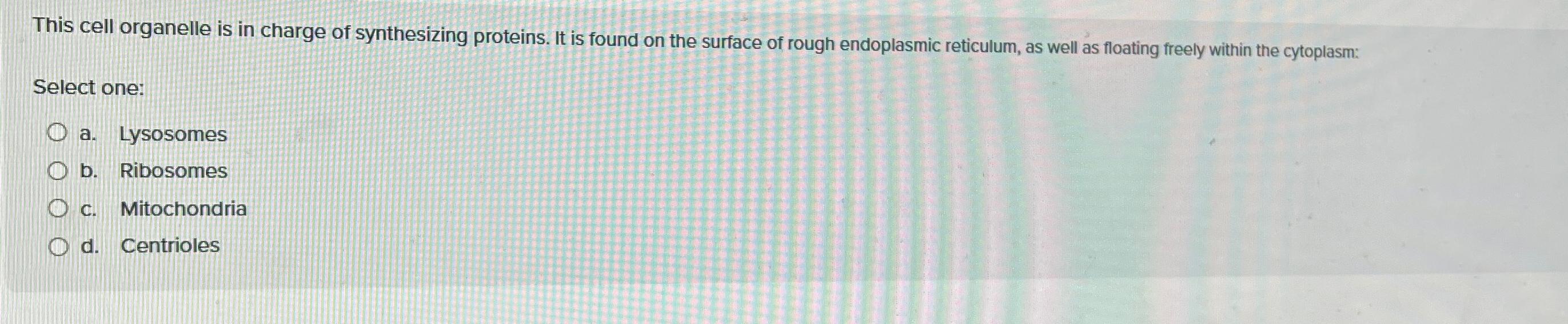 Solved This cell organelle is in charge of synthesizing | Chegg.com