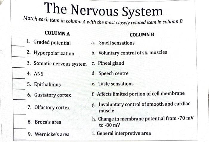 Solved Match each item in column A with the most closely | Chegg.com